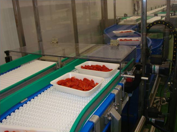 Food Conveyors | Meat, Poultry & Fish Conveyors | UPM